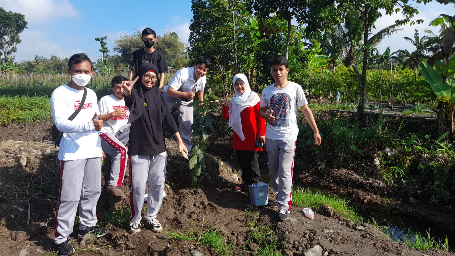 Hijaukan Bumi, MAN 4 Sleman Tanam Alpukat – MAN 4 Sleman